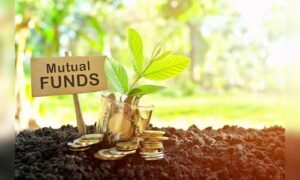 Why small-cap mutual funds are seeing strong retail inflows despite ...