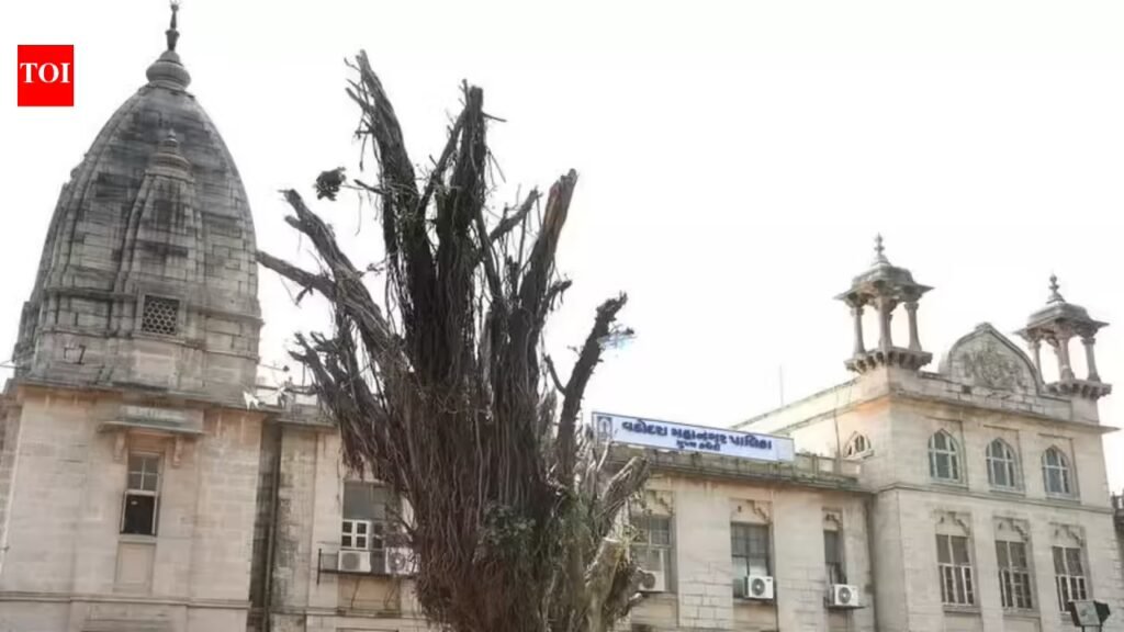 VMC plans ‘blue municipal bonds’ | Vadodara News - Fund Focus News